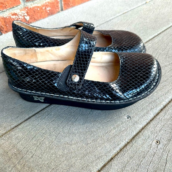 Alegria | Shoes | Euc Alegria Paloma Collect In Black Snake | Poshmark